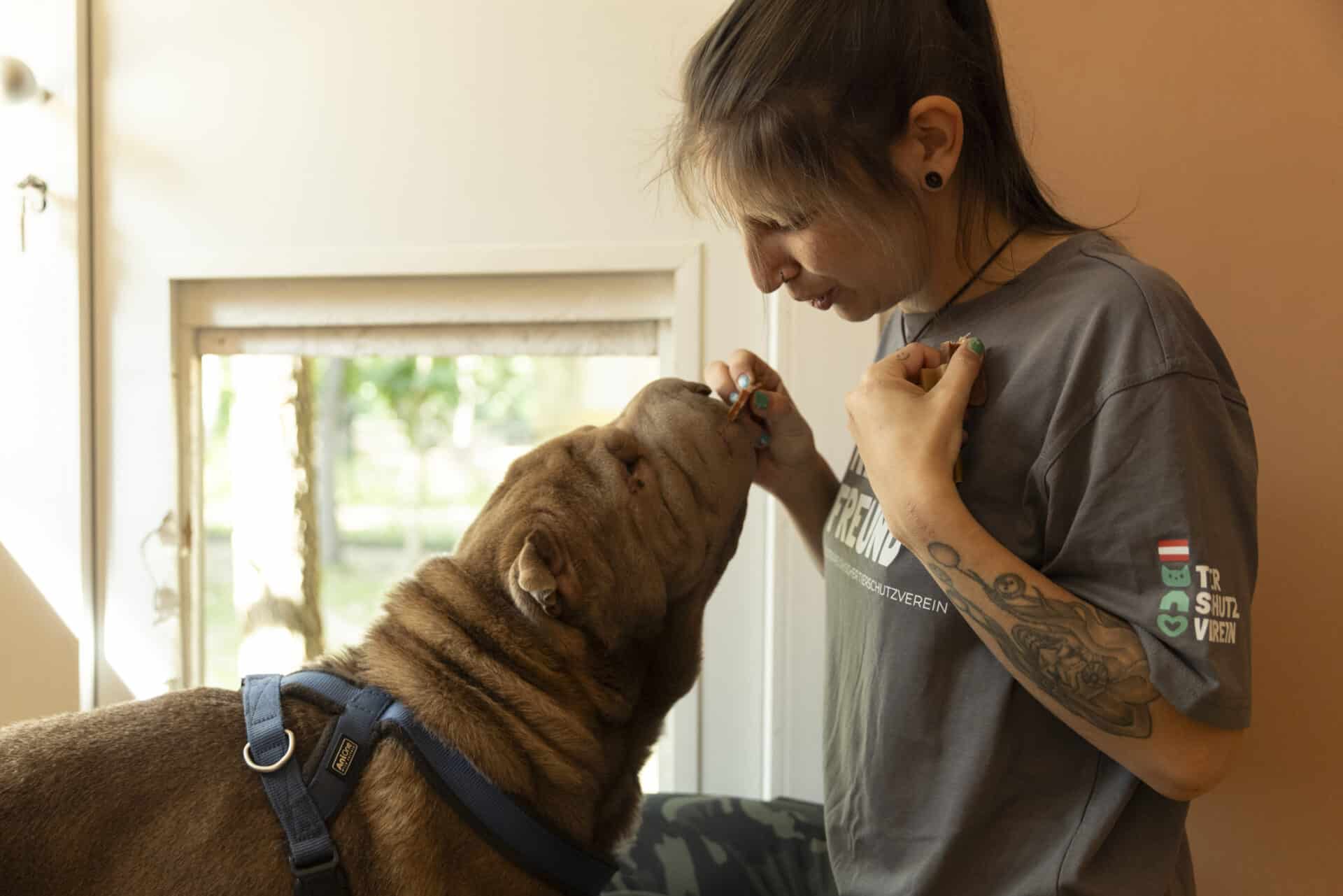 Sprichst du Hund? - Wie du deinen Hund besser verstehen lernst ...